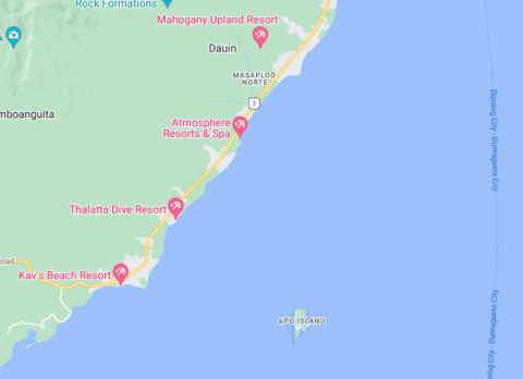 Apo Island in Dauin Philippines - Snorkeling with Sea Turtles
